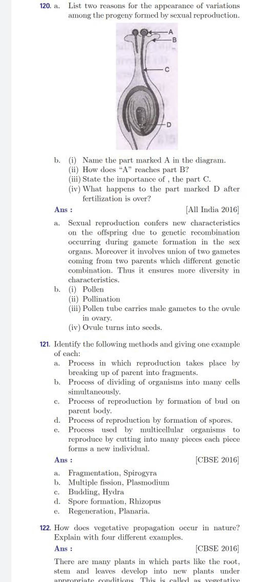 A List Two Reasons For The Appearance Of Variations Among The Progeny Fo