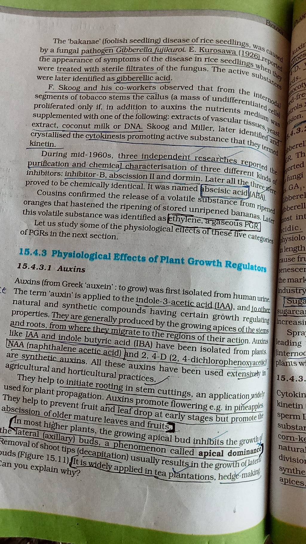 The 'bakanae' (foolish seedling) disease of rice seedlings, was by a fung..