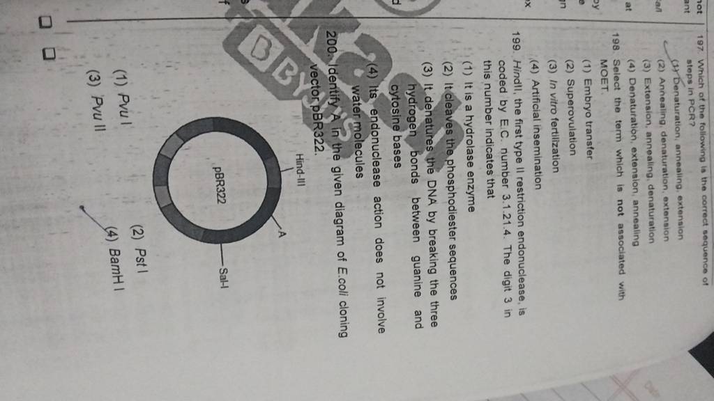 Identify A In The Given Diagram Of Ecoli Cloning Vector Pbr322 Filo