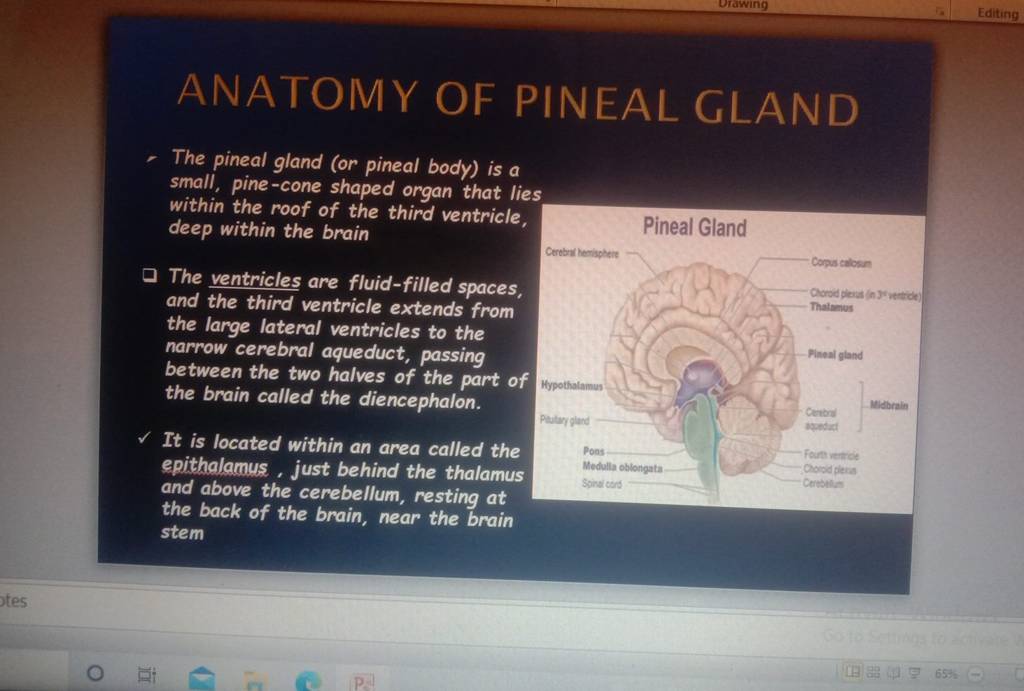 ANATONY OF PINEAL GLAND - The pineal gland (or pineal body) is a small, p..
