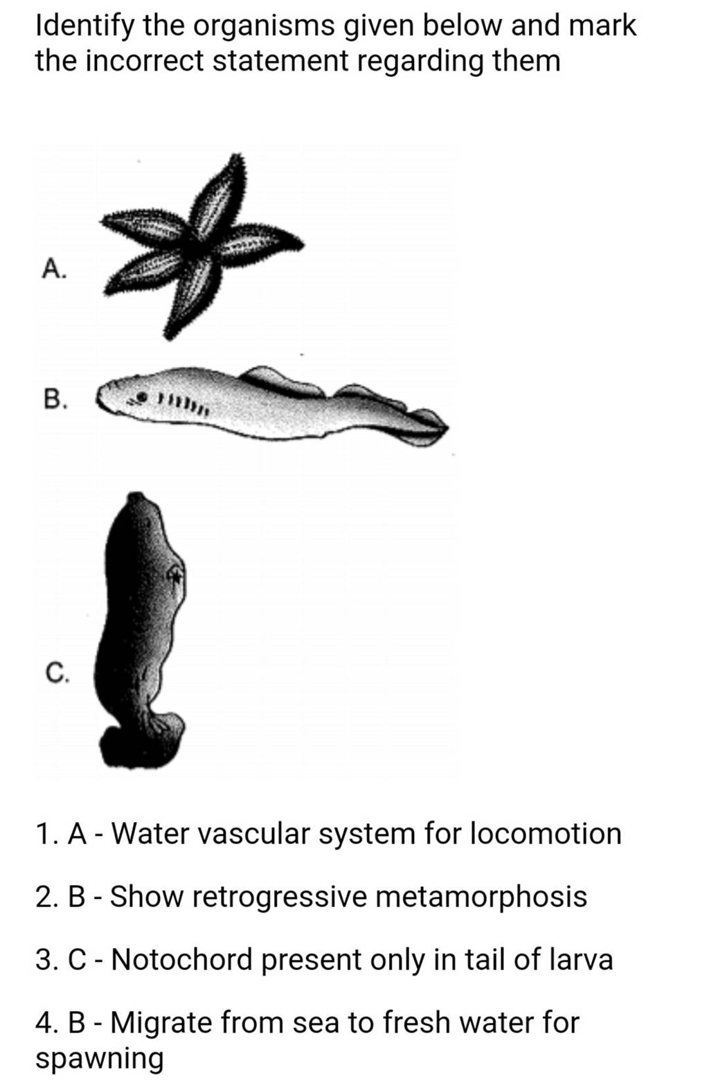 Identify The Organisms Given Below And Mark The Incorrect Statement Regar