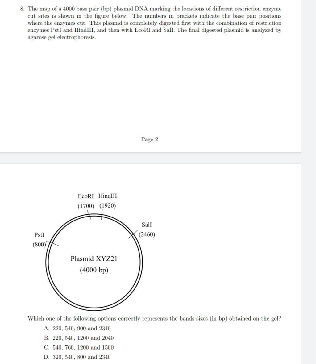 The map of a 4000 base pair (bp) plasmid DNA marking the locations of dif..