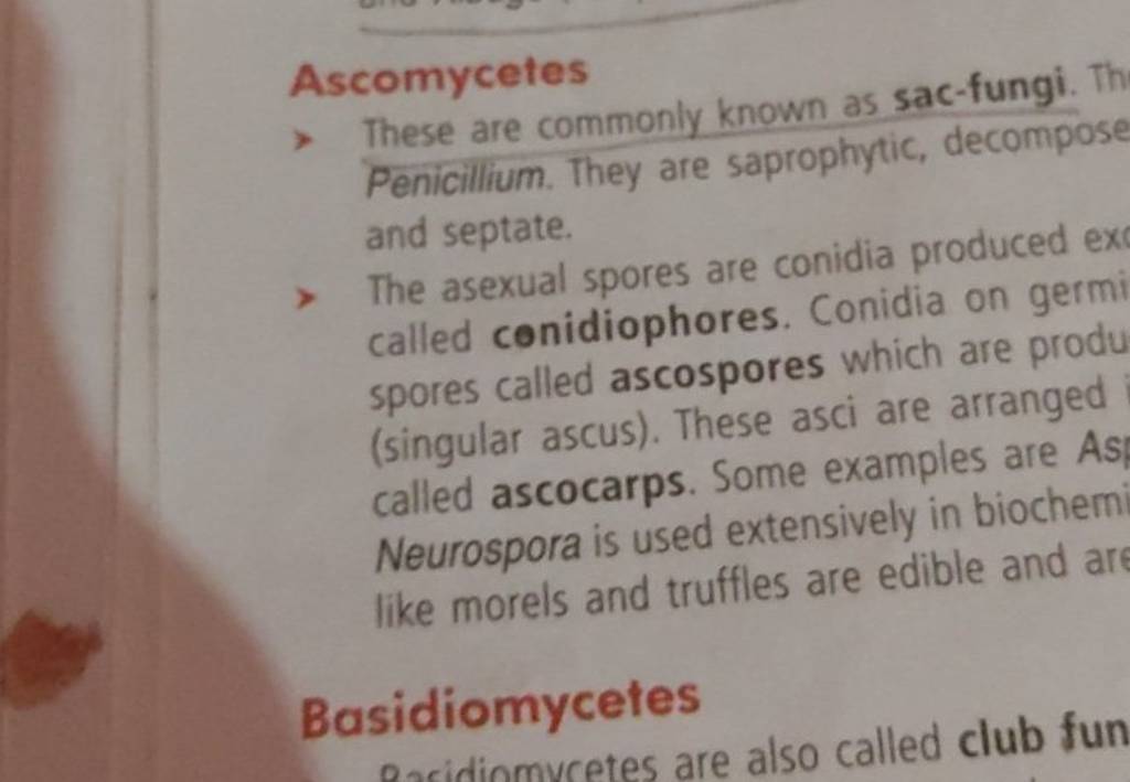 Ascomycetes > These are commonly known as sac-fungi. Th Penicillium. They..