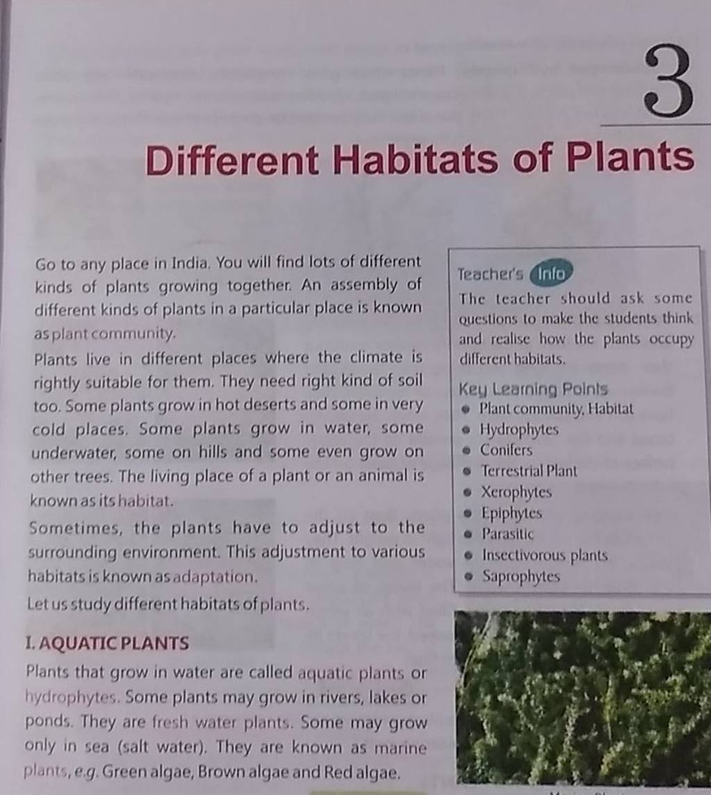 Different Habitats of Plants Let us study different habitats of plants. I..