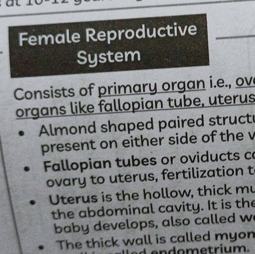 Consists of primary organ i.e., ov organs like fallopian tube, uterus..