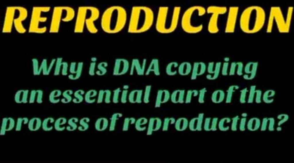 REPRODUCTION Why is DNA copying an essential part of the process of repro..