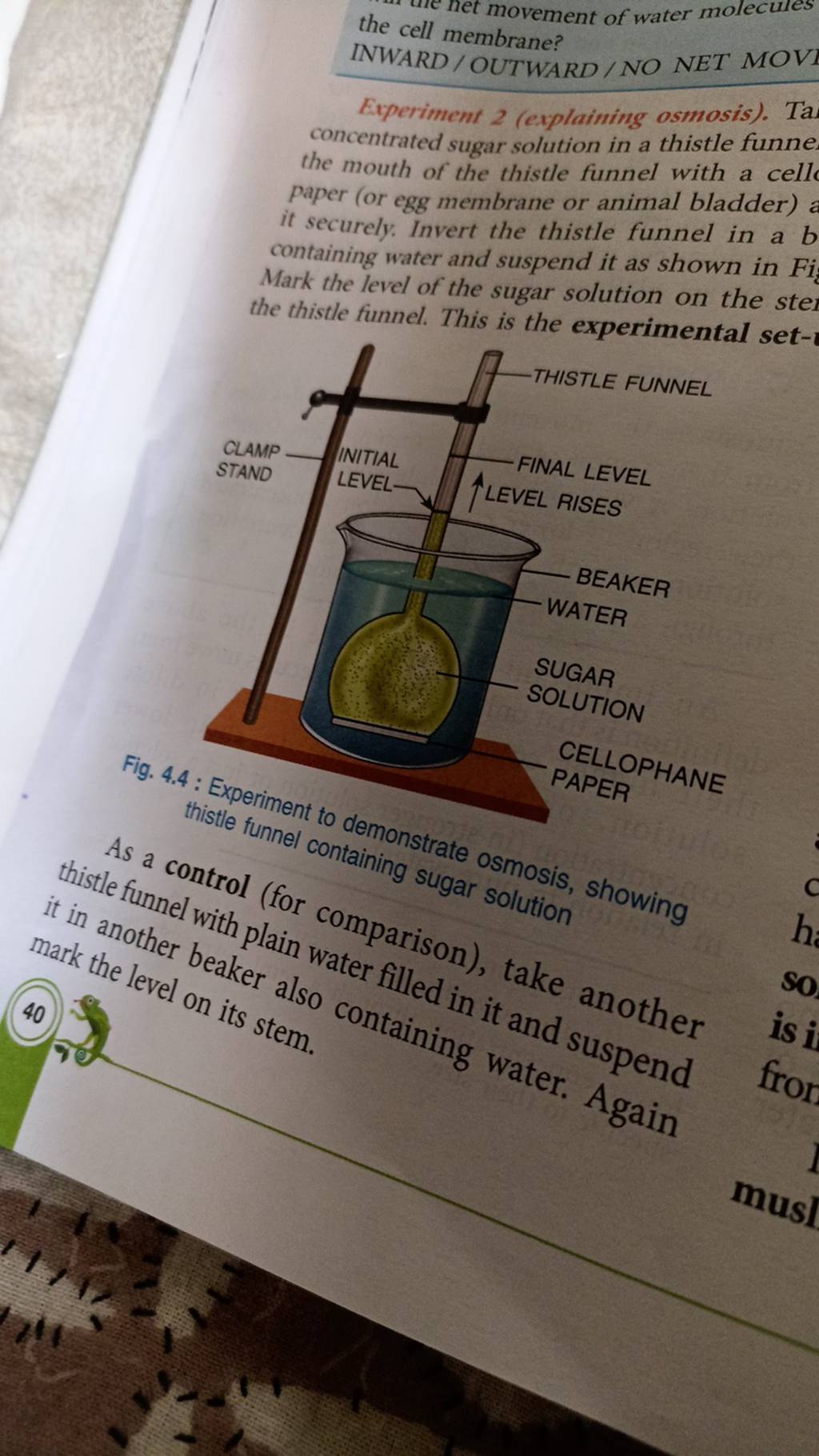 Concentrated Sugar Solution