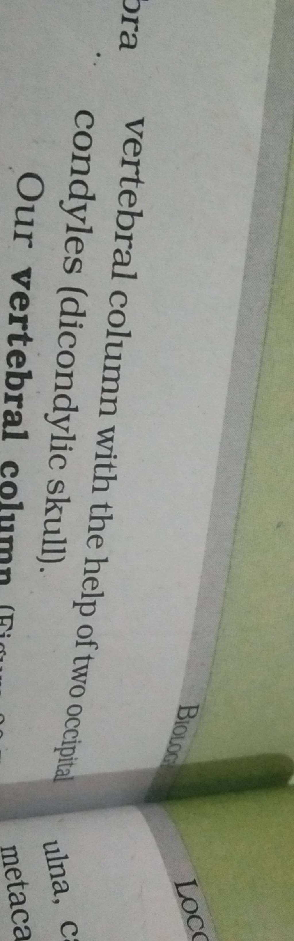 vertebral column with the help of two occipital condyles (dicondylic skul..