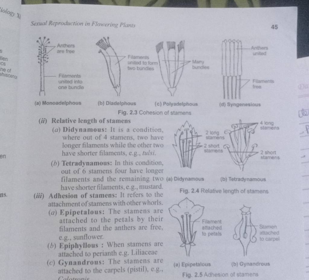 Sexual Reproduction in Flowering Plants 45 | Filo