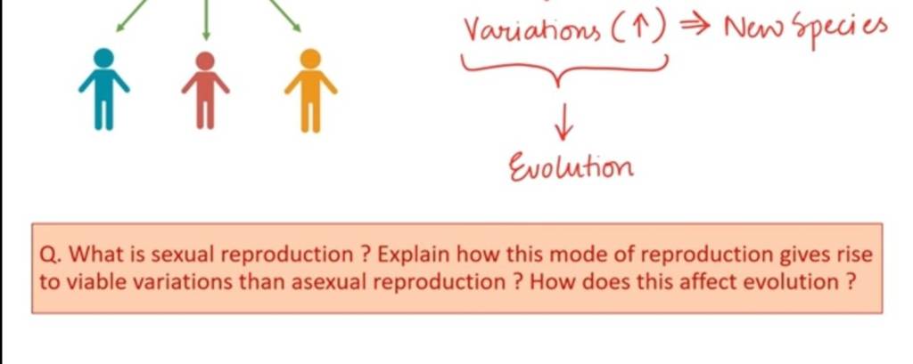 Variations ↑ ⇒ New Species Evolution Q What Is Sexual Reproduction Ex