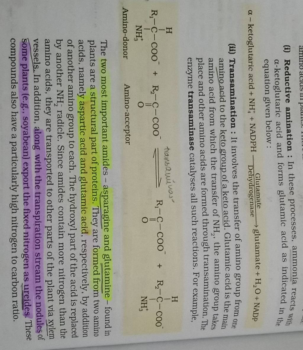(i) Reductive amination : In these processes, ammonia reacts with α-ketog..
