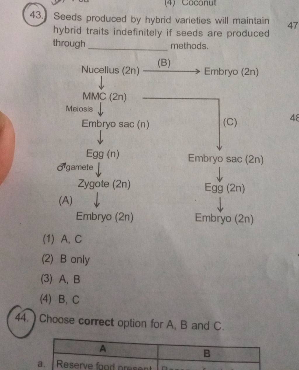 Seeds produced by hybrid varieties will maintain hybrid traits indefinite..