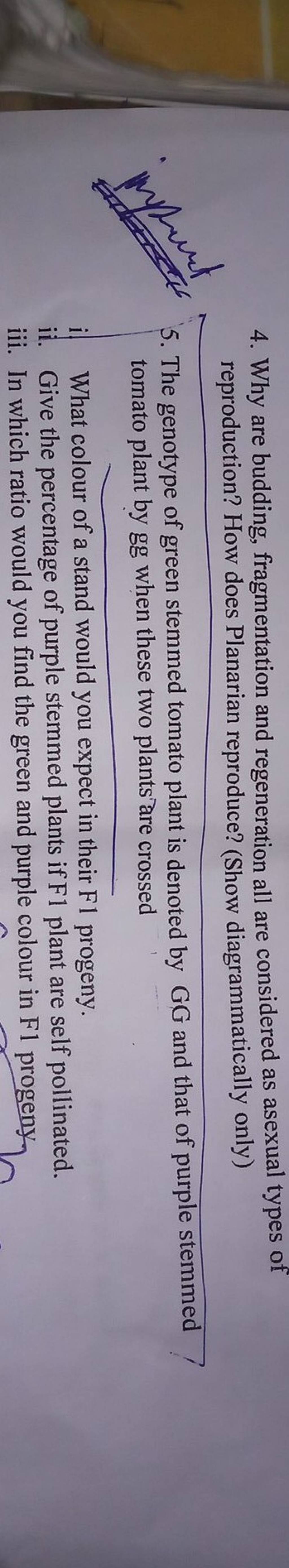 4 Why Are Budding Fragmentation And Regeneration All Are Considered As