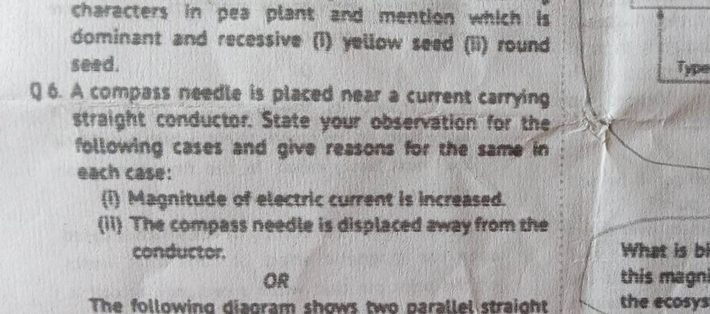 Ghartercers In Pes Plant Nand Mantion Winleh Is Dominsat Tand Recessive