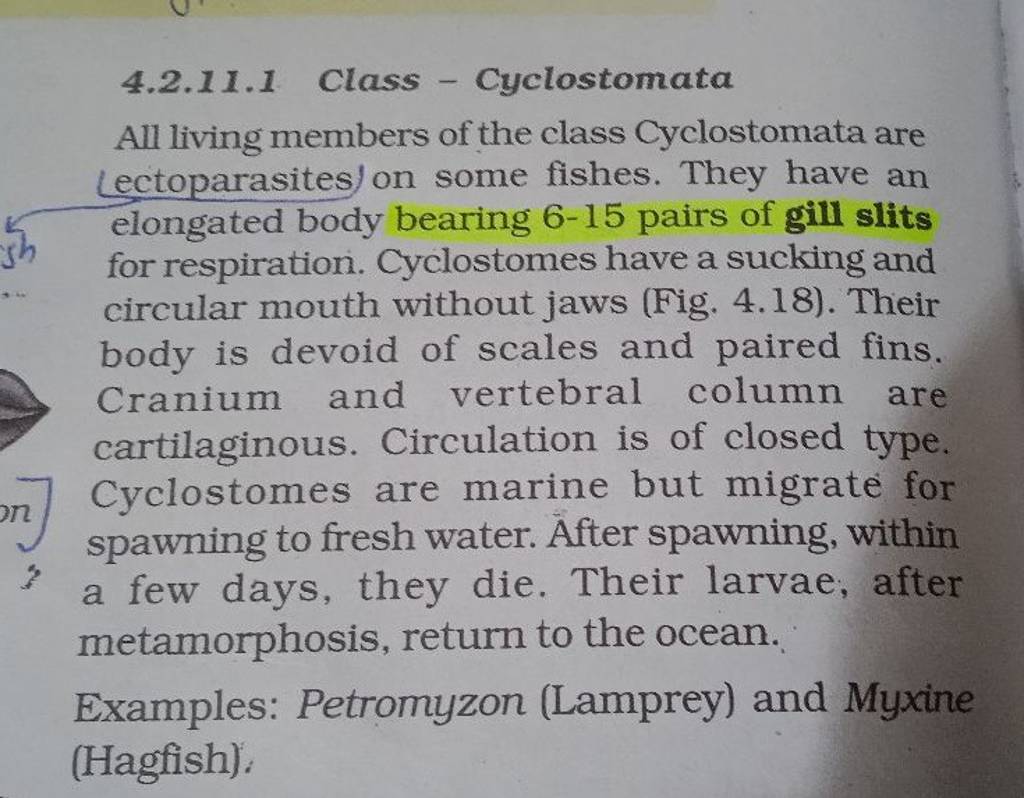 4.2.11.1 Class-Cyclostomata All living members of the class Cyclostomata