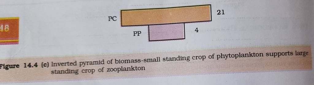 Figure 14.4 (c) Inverted pyramid of biomass-small standing crop of phytop..