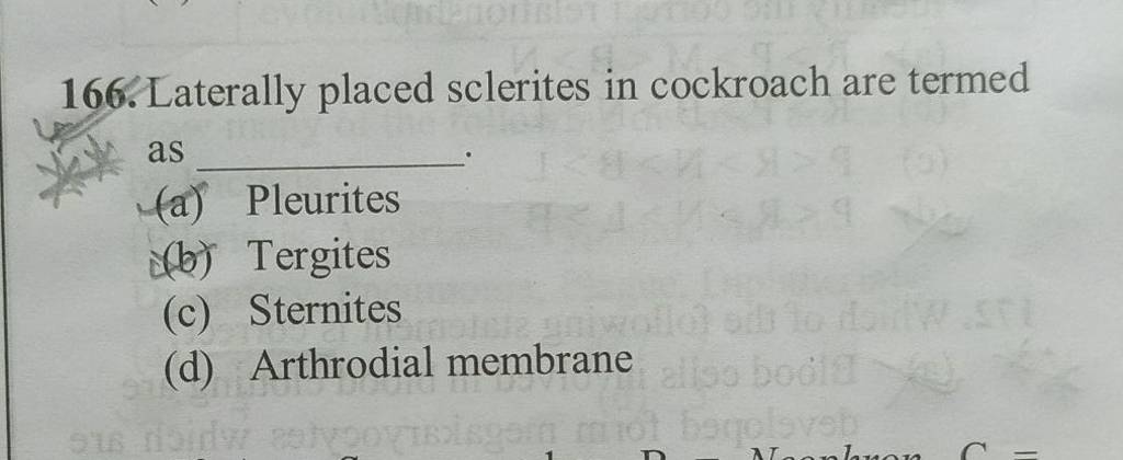 Laterally placed sclerites in cockroach are termed as | Filo