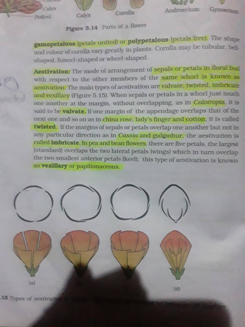 Figure 5.14 Parts of a flower gamopetalous (petals united) or polypetalou..