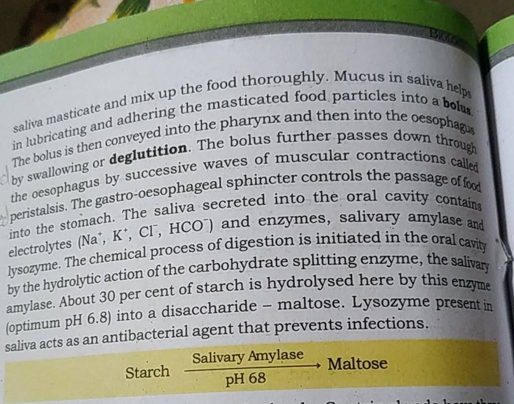 saliva masticate and mix up the food thoroughly. Mucus in saliva helps in..