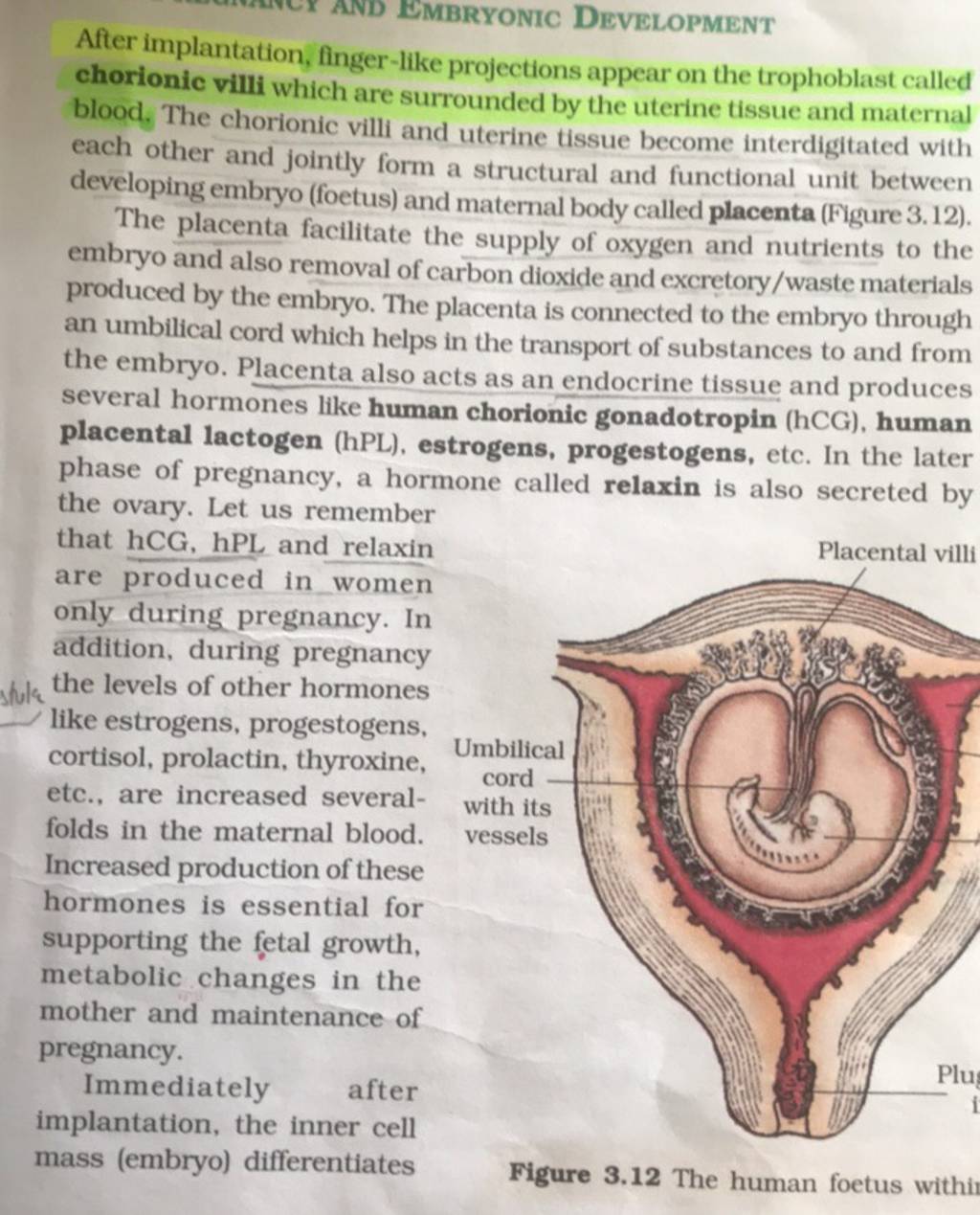 After implantation, finger-like projections appear on the trophoblast cal..