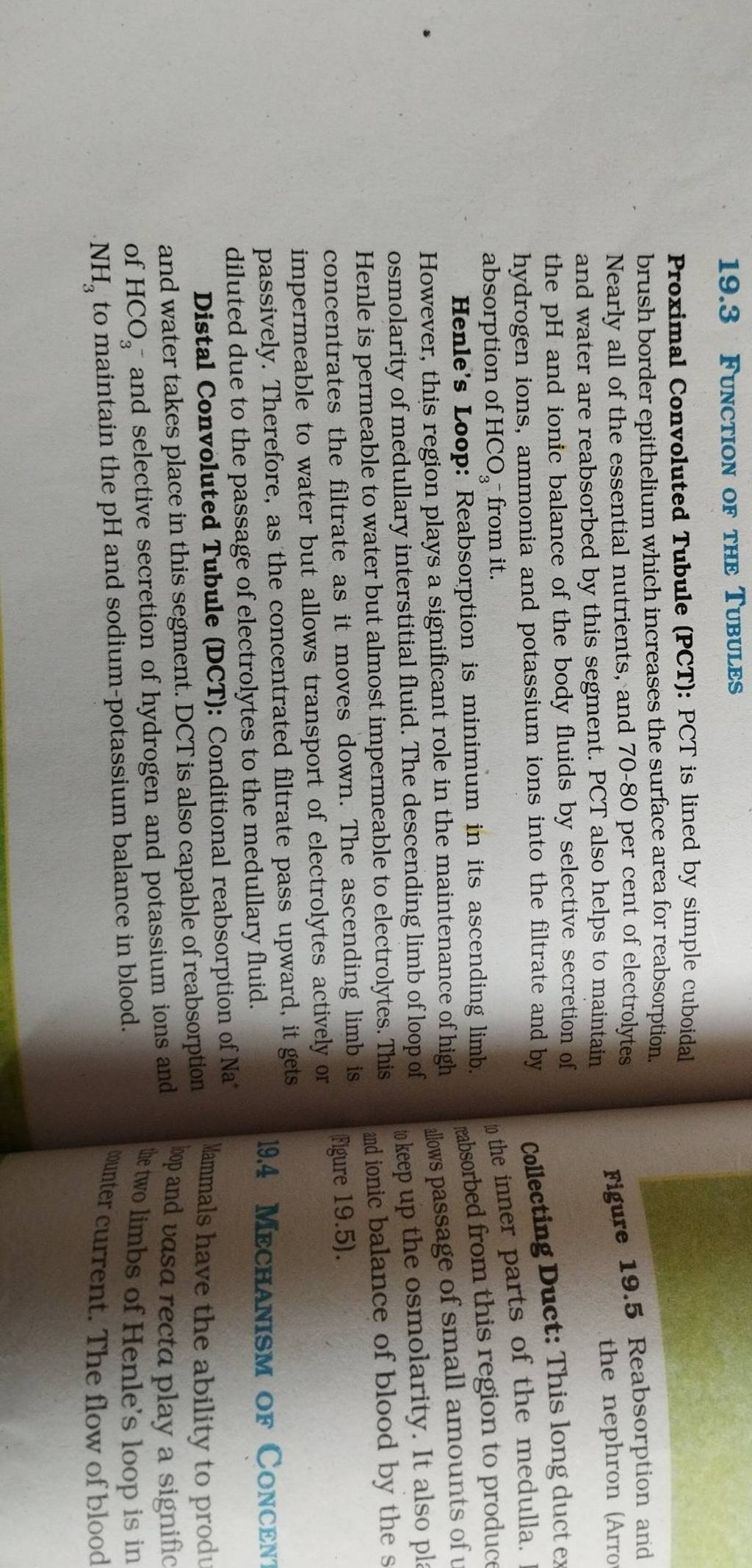 19.3 FUNCTION OF THE TUBULES Proximal Convoluted Tubule (PCT): PCT is lin..