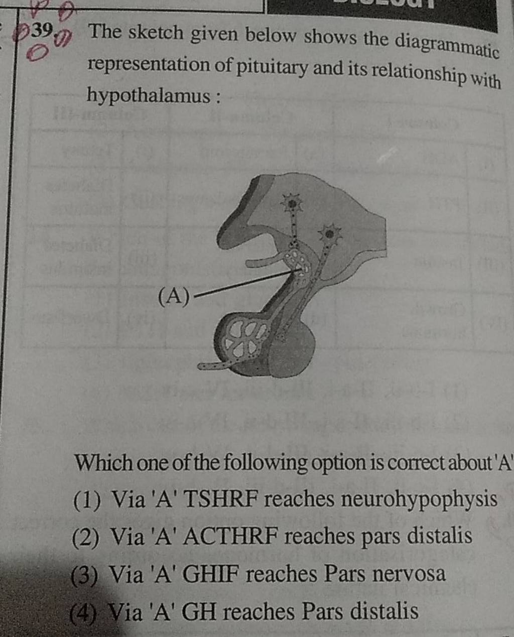 39 O The sketch given below shows the diagrammatic representation of pitu.. 39 O The sketch given below shows the diagrammatic representation of pitu..