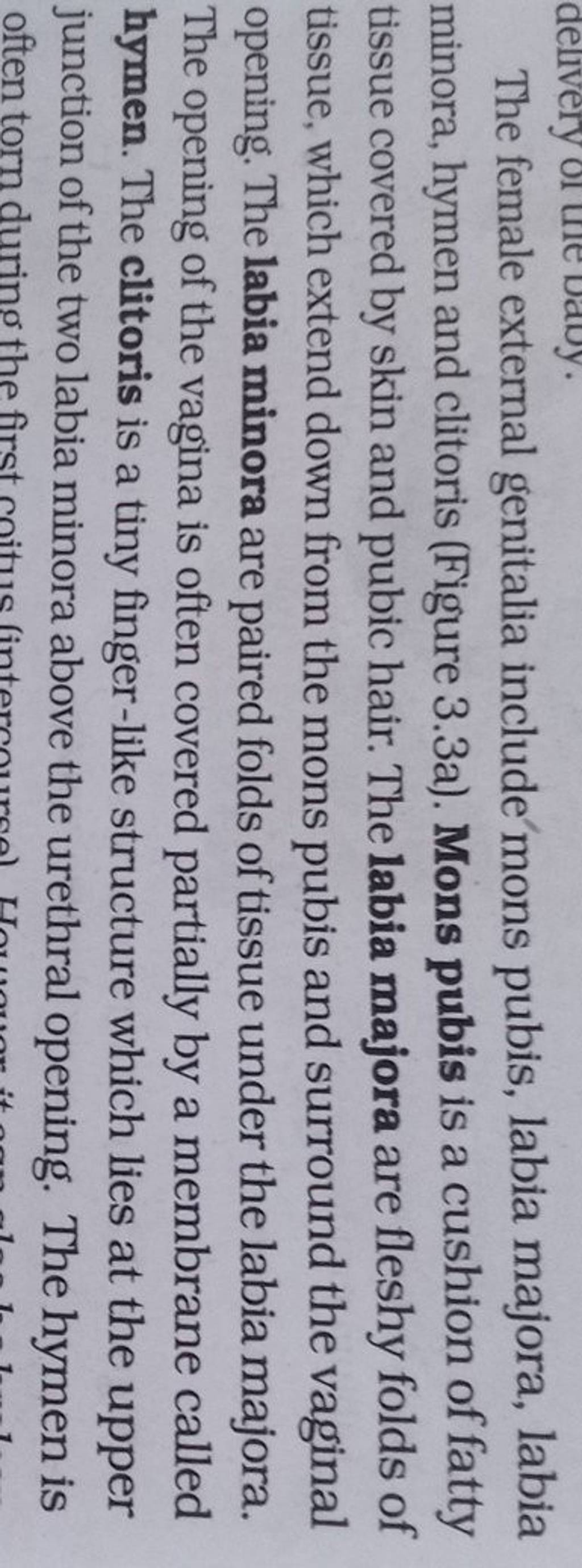 The female external genitalia include'mons pubis, labia majora, labia min..