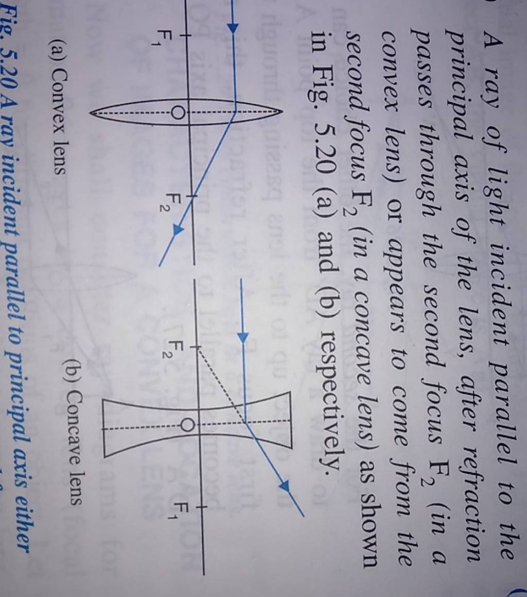 A ray of light incident parallel to the principal axis of the lens, after..