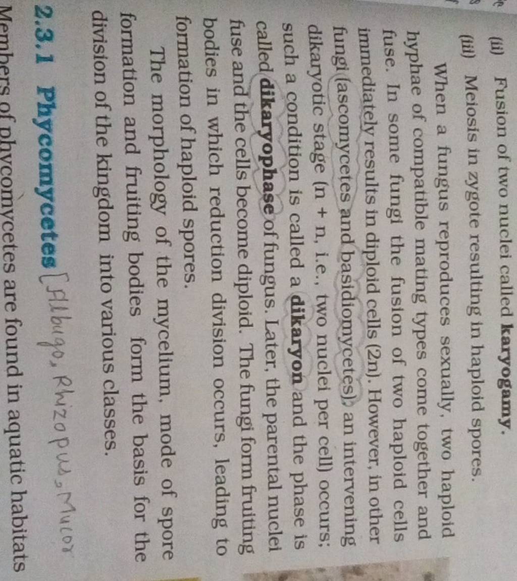(ii) Fusion of two nuclei called karyogamy. (iii) Meiosis in zygote resul..