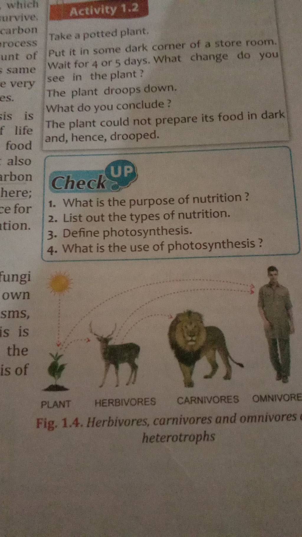 PLANT HERBIVORES CARNIVORES OMNIVORE Fig. 1.4. Herbivores, carnivores and..