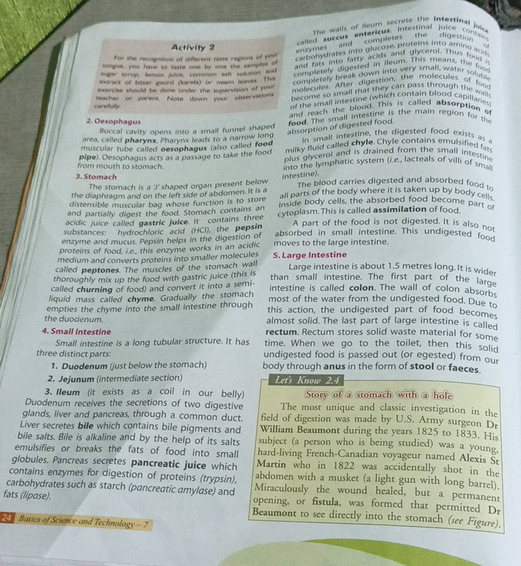 The walls of lleum secrete the intestinal Jutice Activify 2 corled succus..