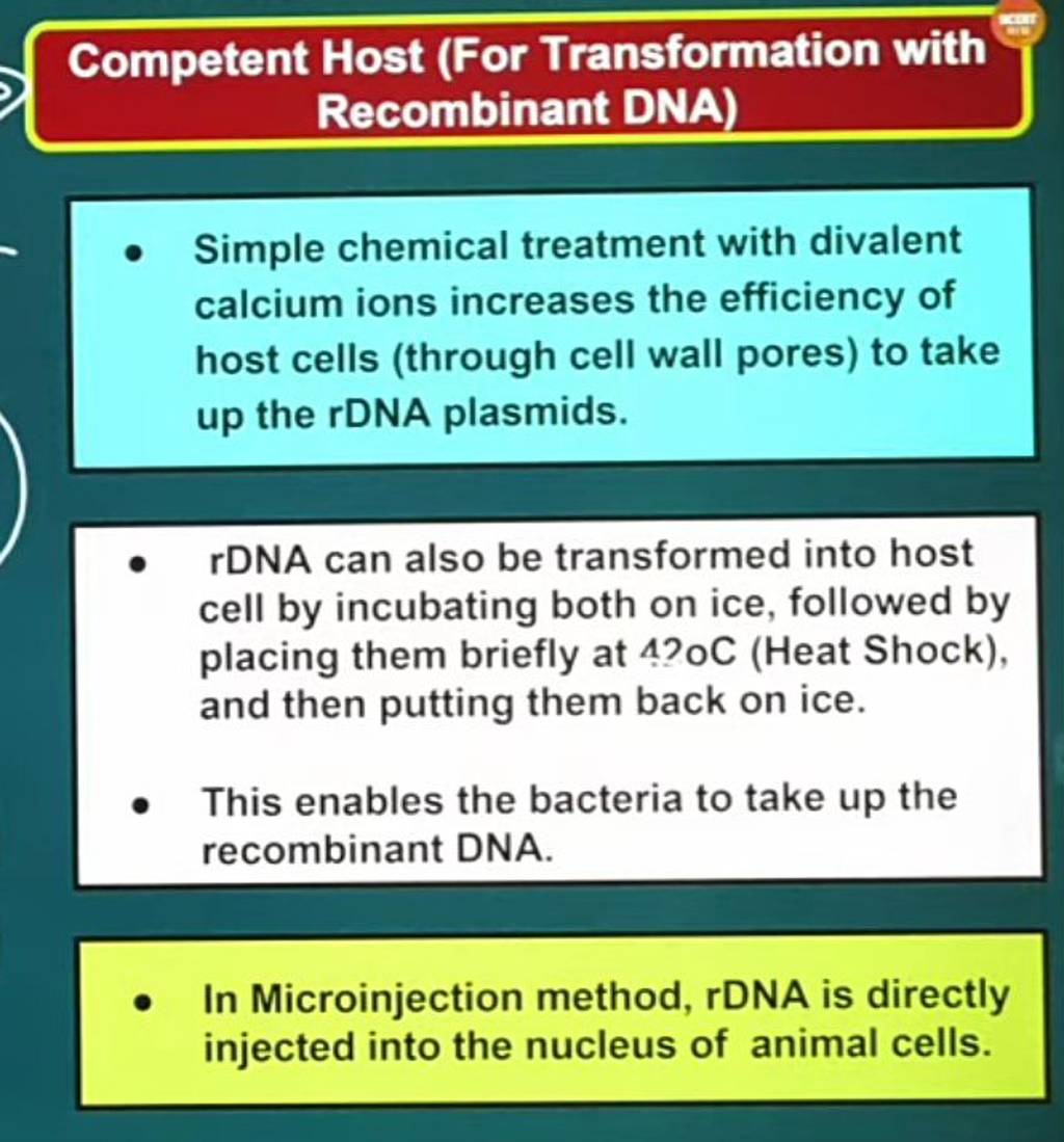 Competent Host (For Transformation with Recombinant DNA) | Filo