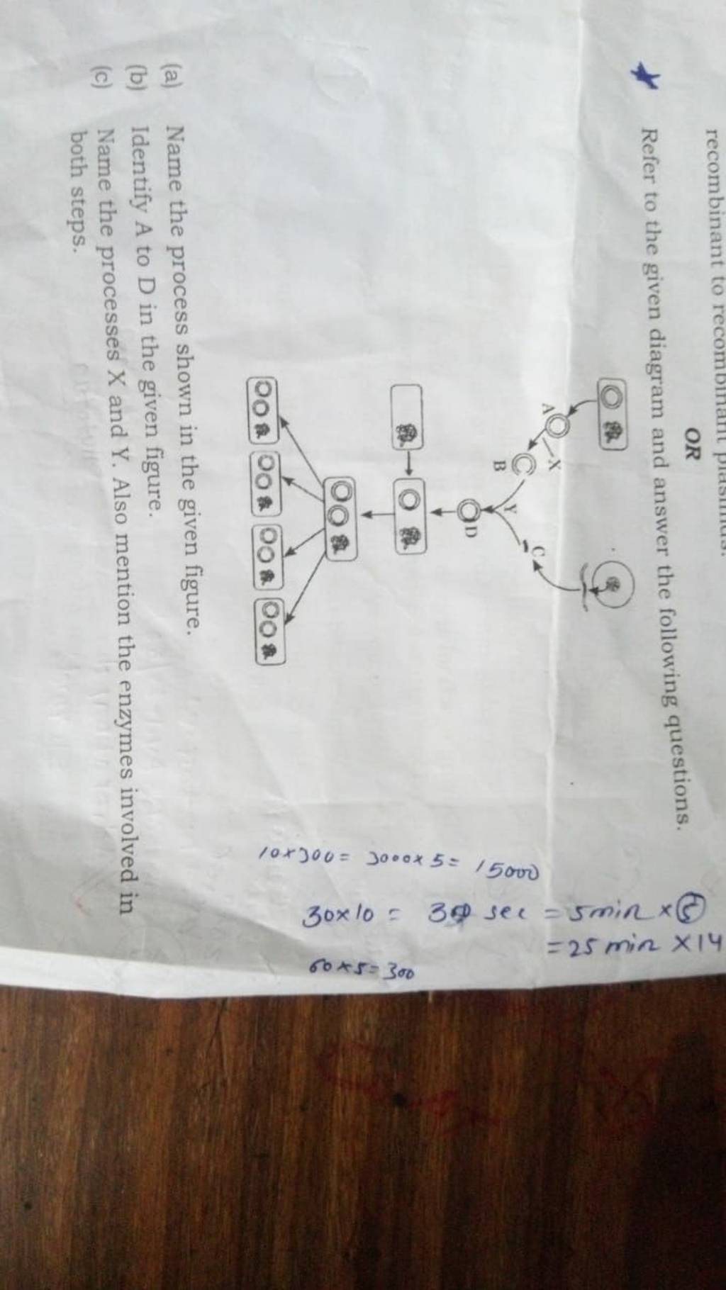 - Refer to the given diagram and answer the following questions. (a) Name..