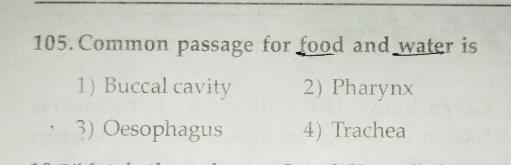 Common passage for food and water is | Filo