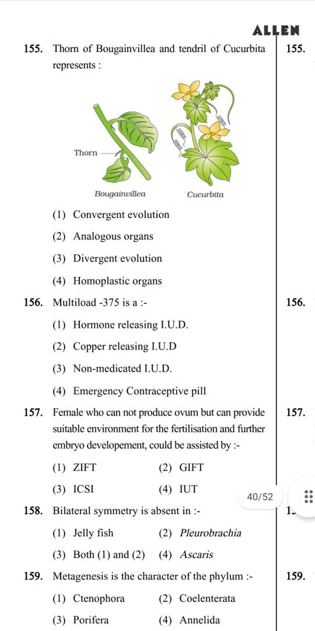 ALLㅌNㅔ 155. Thorn of Bougainvillea and tendril of Cucurbita 155. represen..