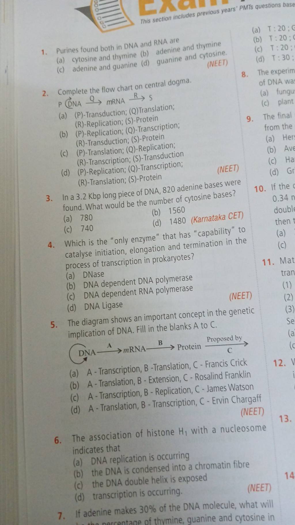 2. Complete the flow chart on central dogma. P (DNA Q mRNA R S | Filo