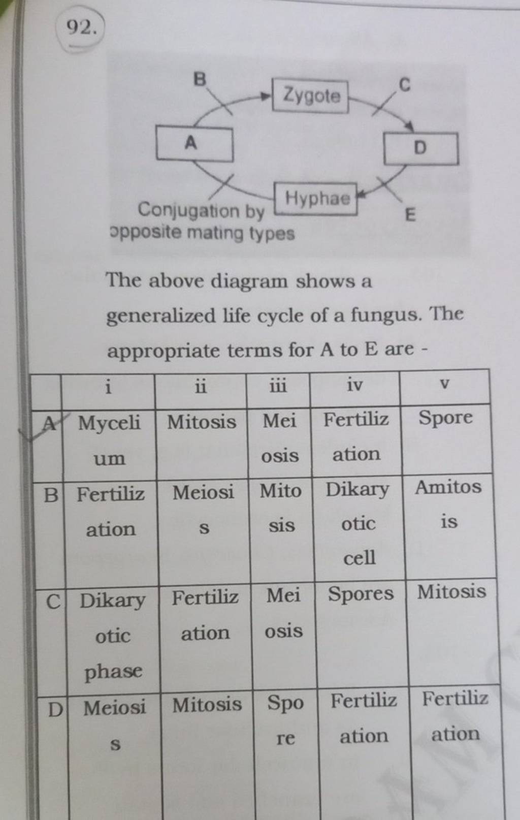 92. spposite mating types The above diagram shows a generalized life cycl..