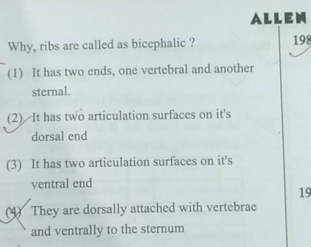 Why, ribs are called as bicephalic ? | Filo