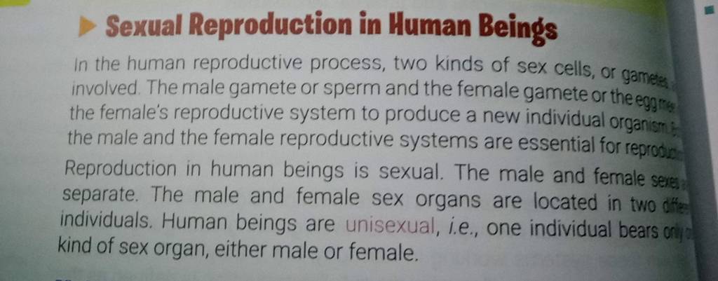Sexual Reproduction In Muman Beings In The Human Reproductive Process Tw