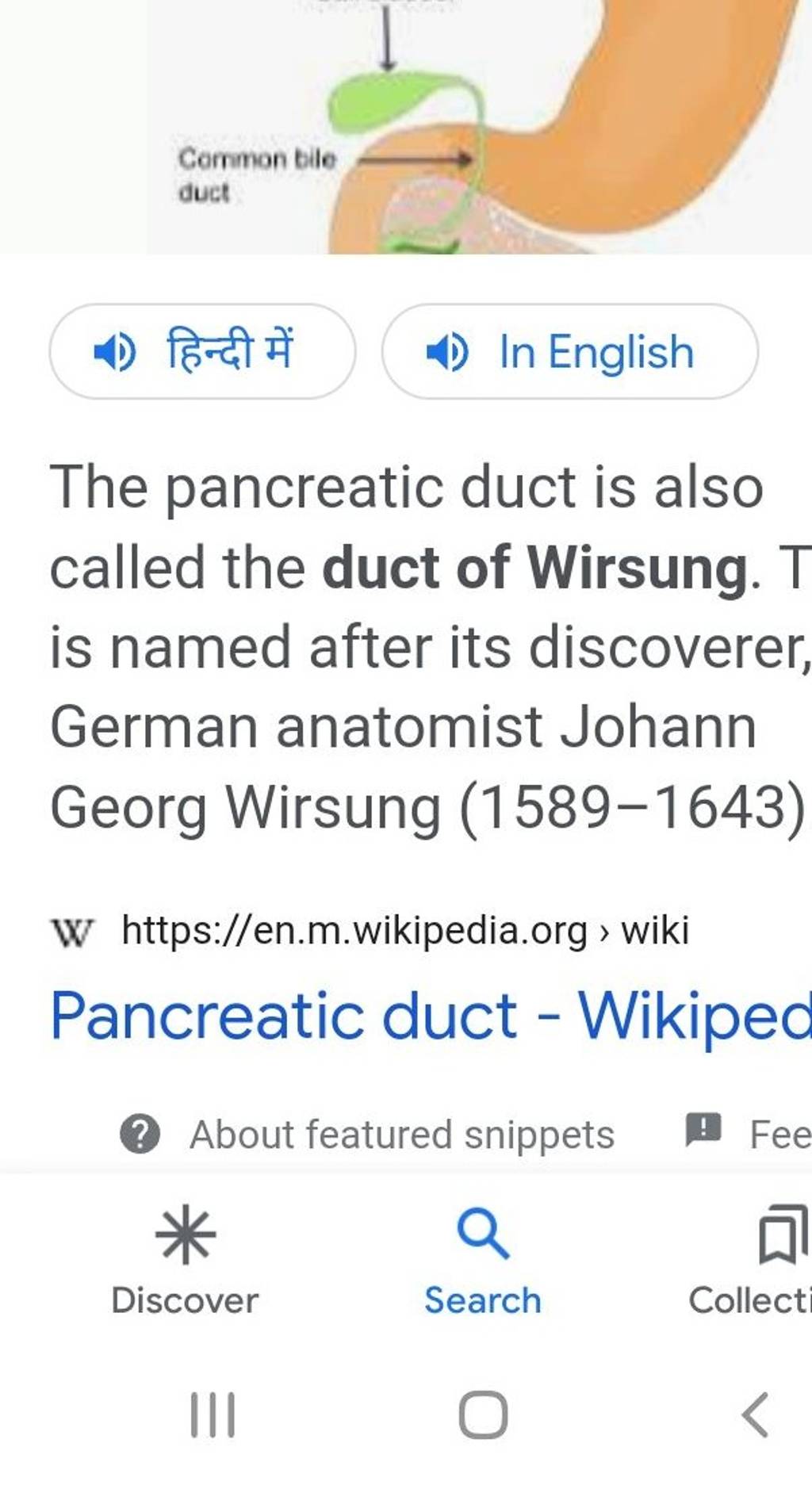 The pancreatic duct is also called the duct of Wirsung. T is named after