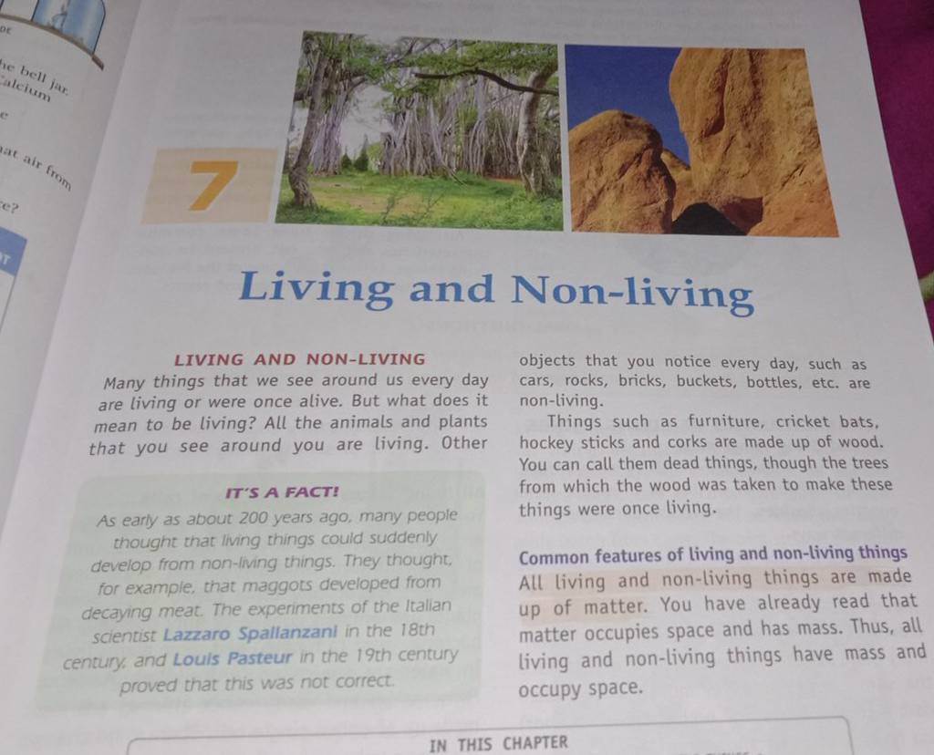 Living and Non-living LIVING AND NON-LIVING objects that you notice every..