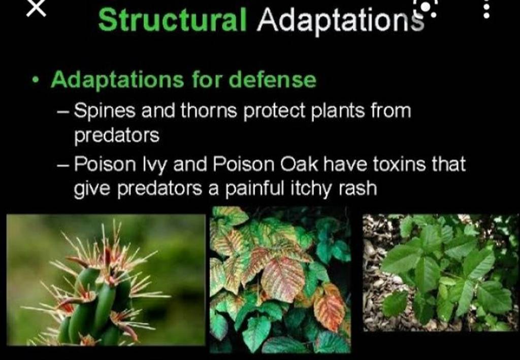 Structural Adaptations" - Adaptations for defense - Spines and thorns pro..