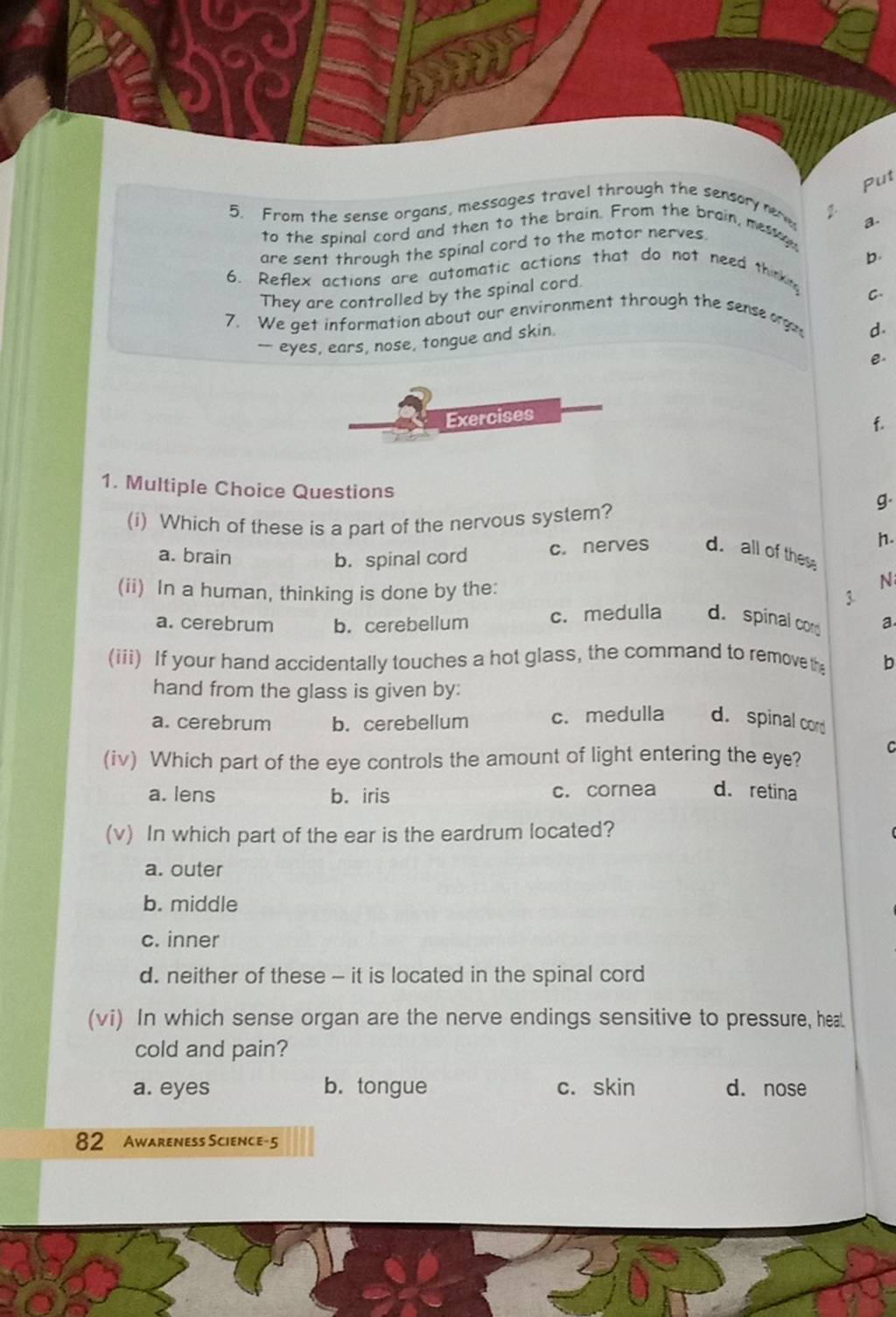 In which part of the ear is the eardrum located? | Filo