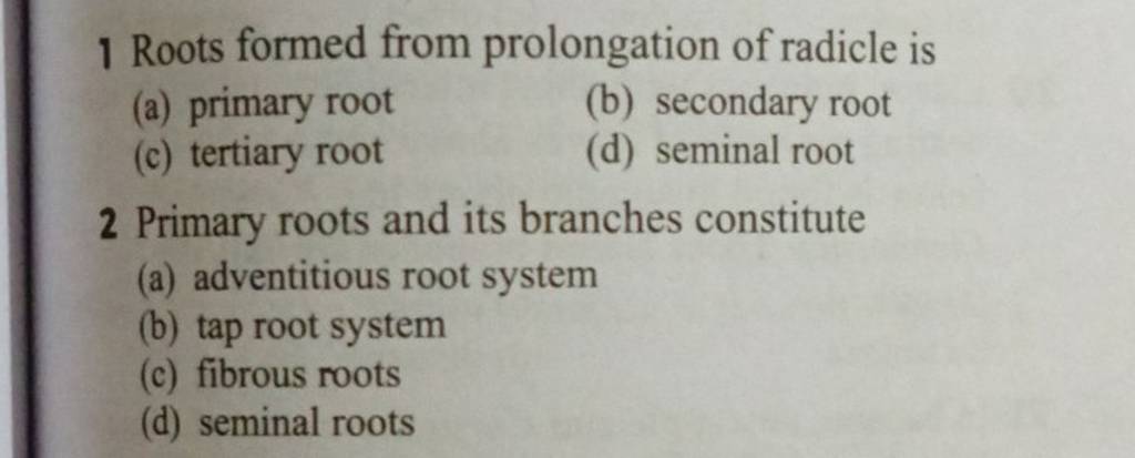 2 Primary roots and its branches constitute | Filo