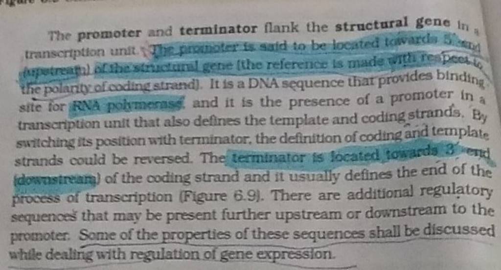 The promoter and terminator flank the structural gene Ina transcriptlon..