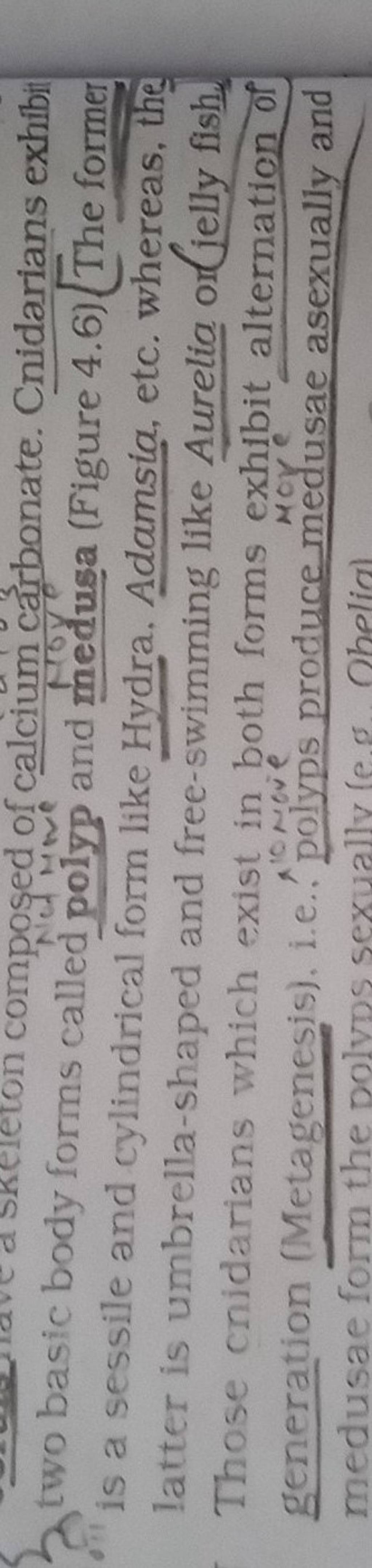 2wo basic body forms called polyp and medusa (Figure 4.6) The former is a..