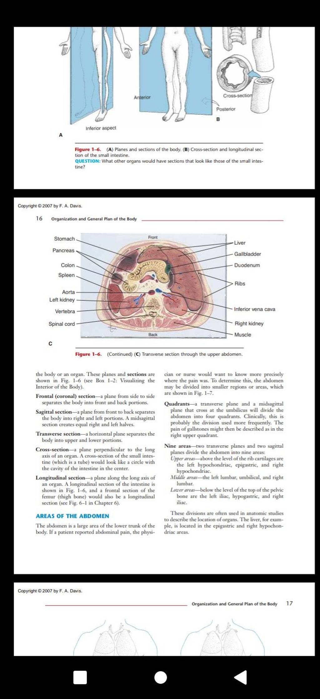 Figure 1-6. (A) Planes and sections of the body. (B) Cross-section and lo..