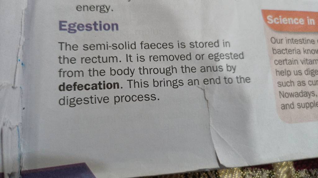 energy. Egestion The semi-solid faeces is stored in the rectum. It is rem..