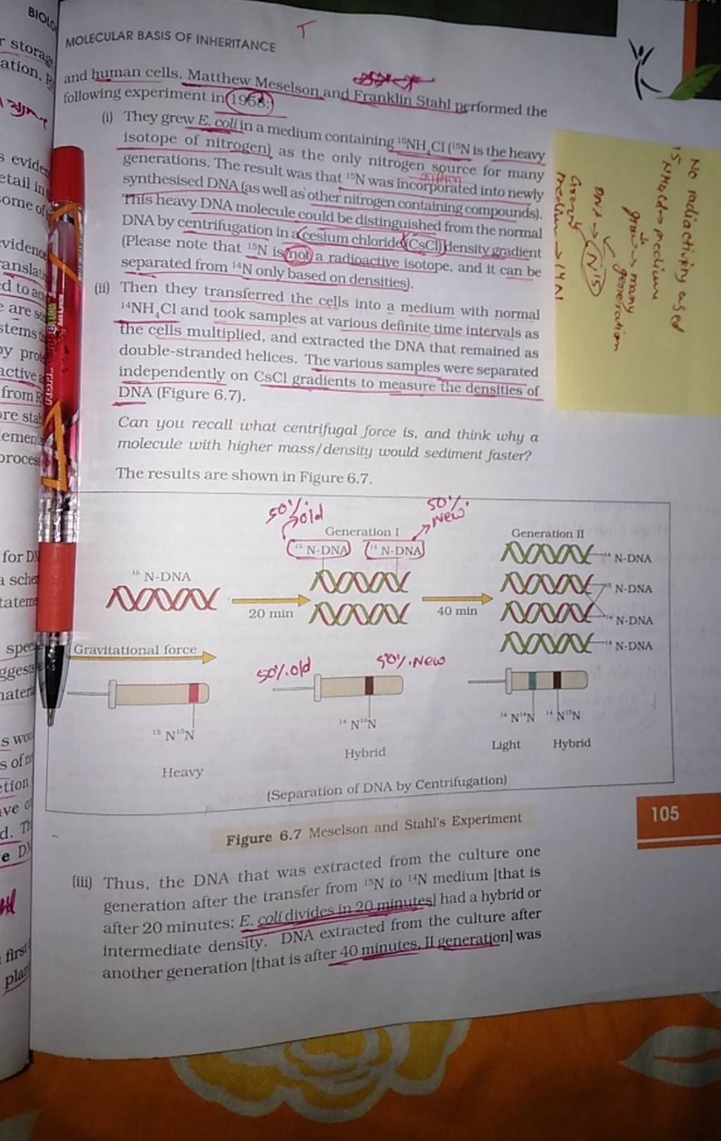 Figure 6.7 Meselson and Stahl's Experiment 105 de the the the The results..