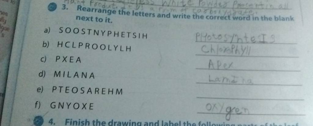 Rearrange the letters and write the correct word in the blank. next to it..